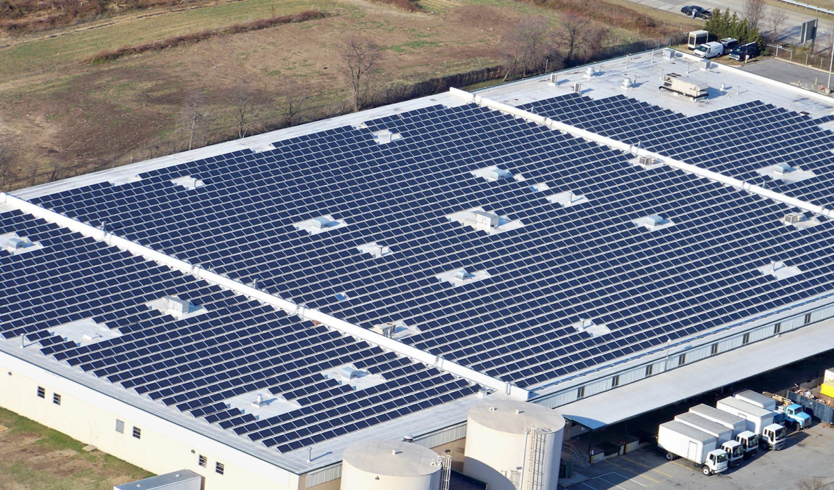 News & Insights - Luminace