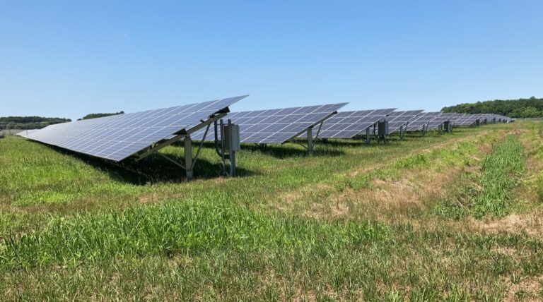 News & Insights - Luminace