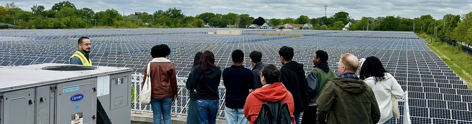 News & Insights - Luminace